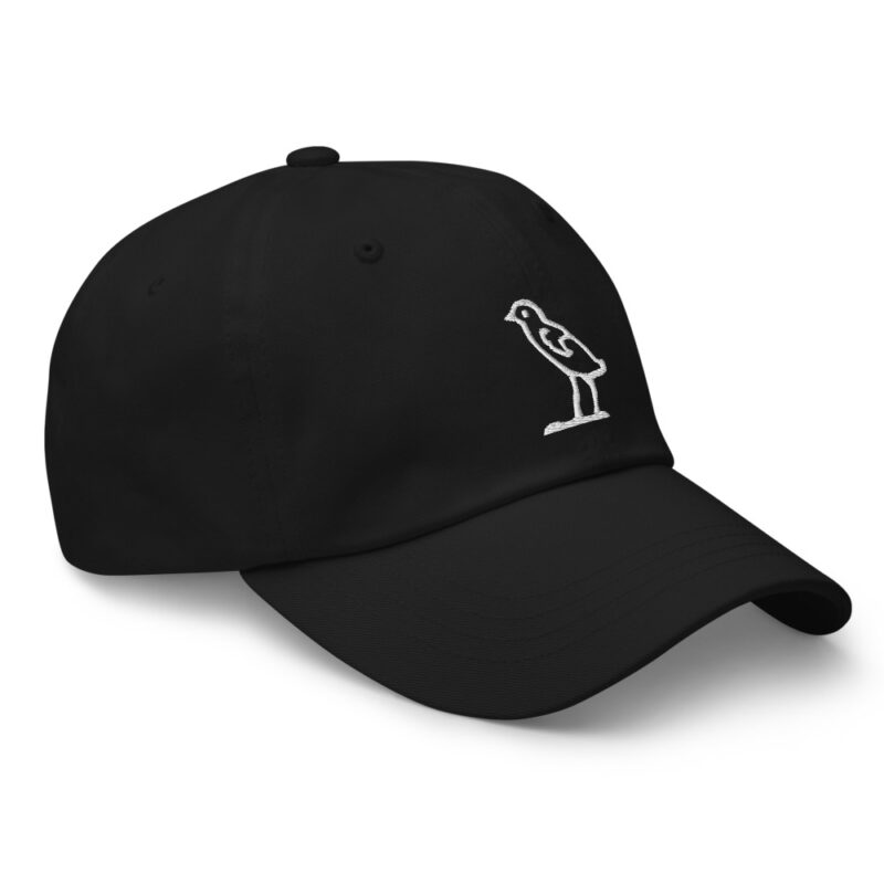 Bird From Egypt Dad Hat – Oats Jenkins